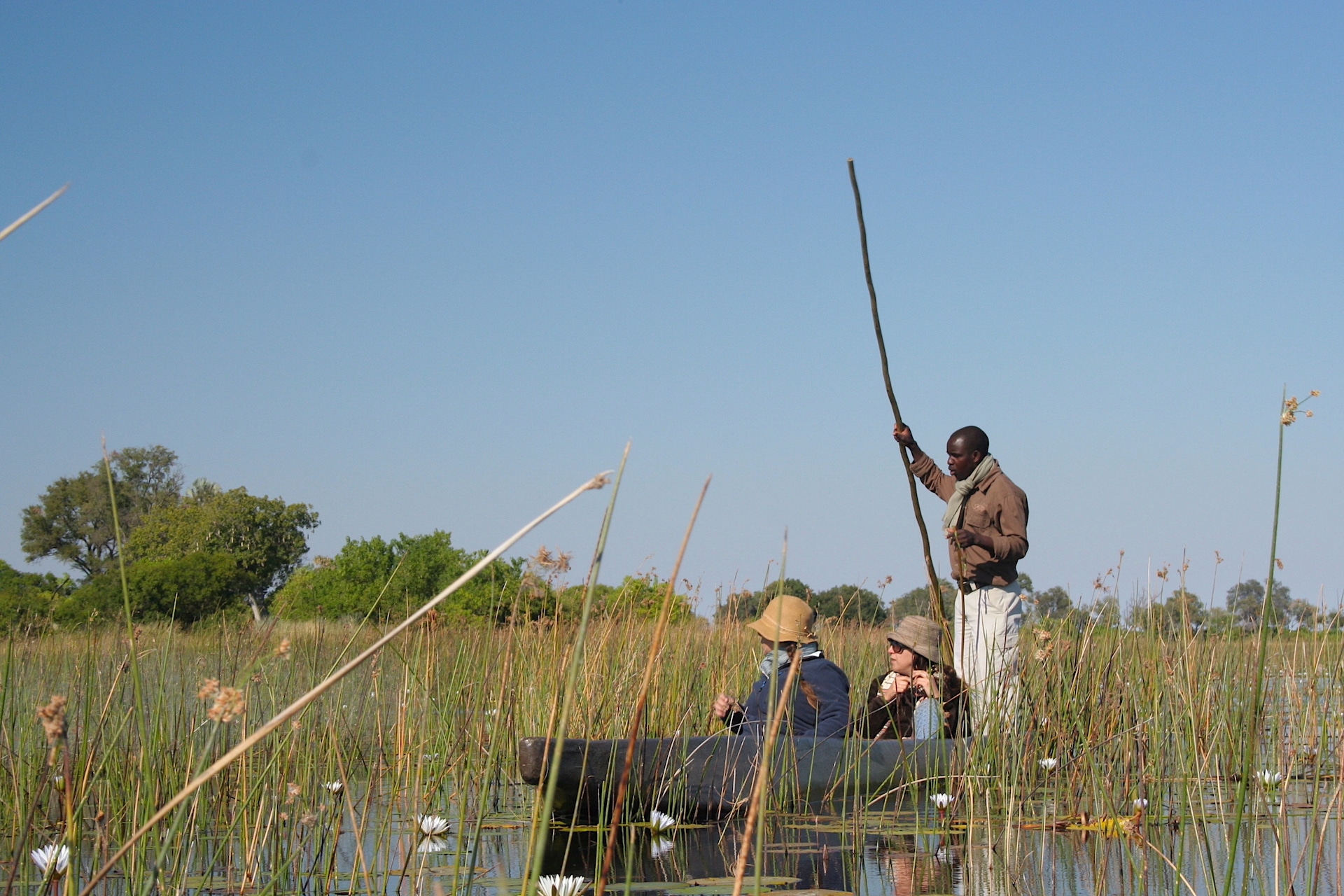 Travel to Botswana for the Ultimate Safari | Sense Earth