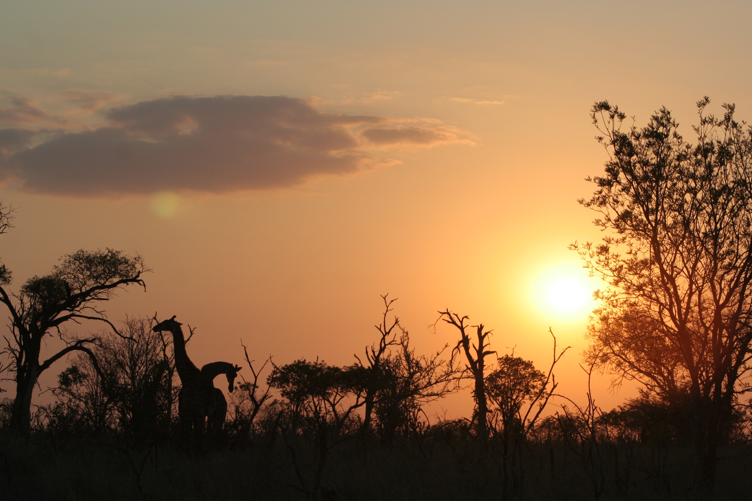 About Sense Earth | Sense Earth